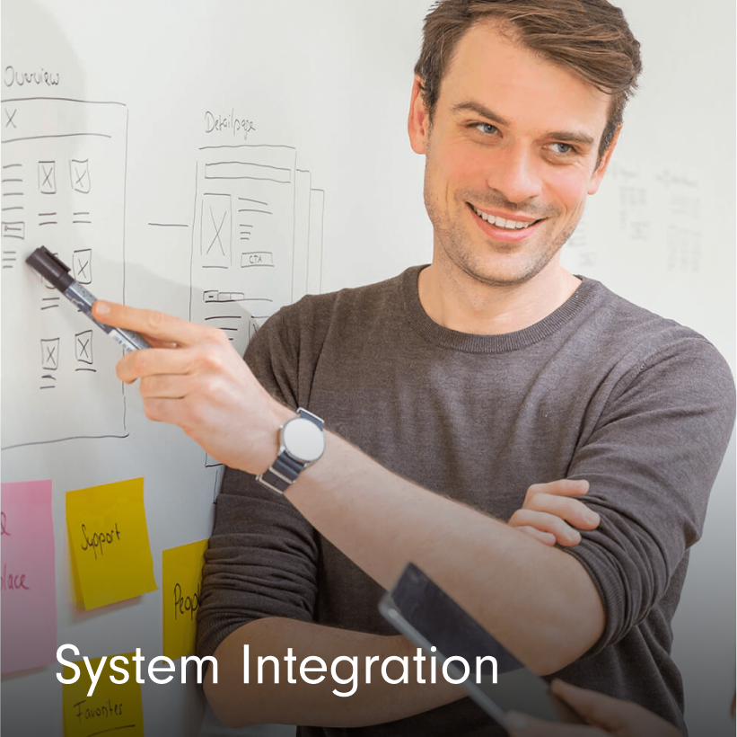 Agency for system integration - consulting & implementation